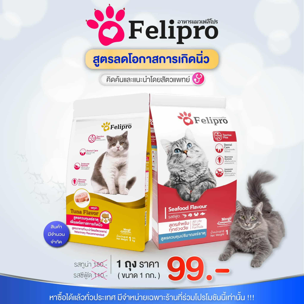 ราคาพิเศษ ถุงแดงรุ่นถุงไม่มีซิปล๊อก เฟลิโป Felipro Cat Food Seafood ...