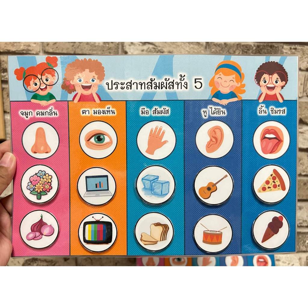 สื่อการสอนอนุบาล เรื่องประสาทสัมผัสทั้ง 5 Shopee Thailand