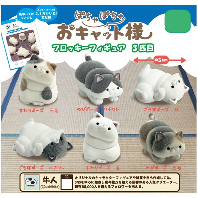 H.M.A. Cowman Chubby Cat 3rd Flocky Figure กาชาปองฟิกเกอร์น้องแมวอวบ ...