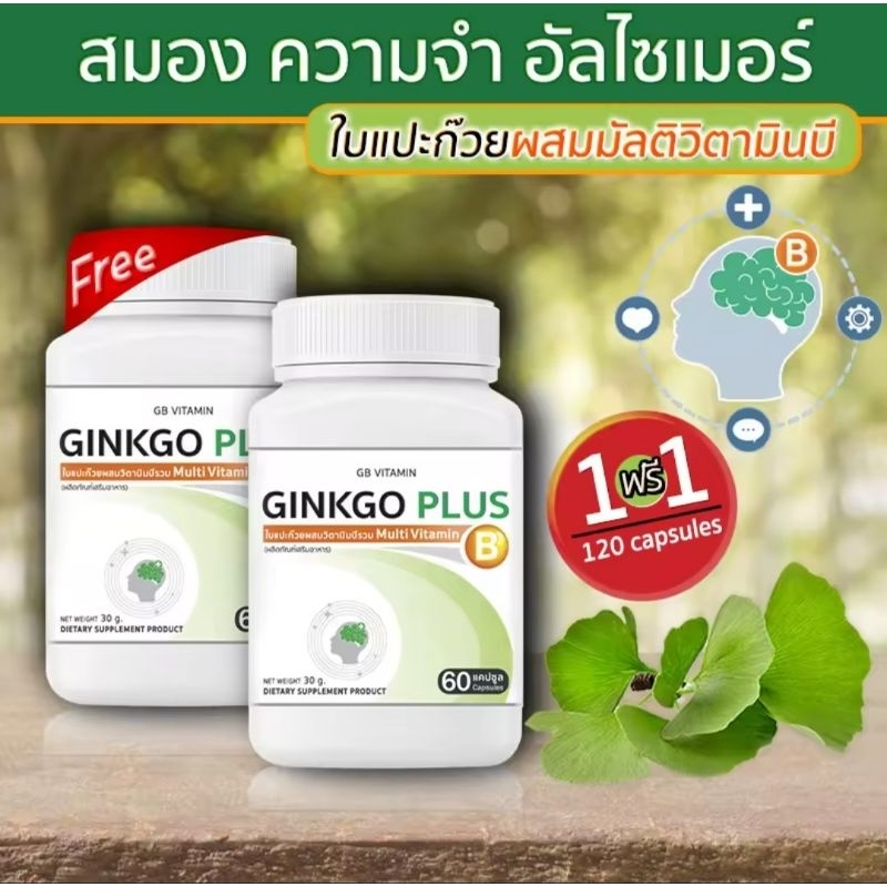 1แถม1 GB Ginkgo Plus-B อาหารเสริม ใบแปะก๊วยผสมวิตามินบีรวม สารสกัดใบแปะ ...