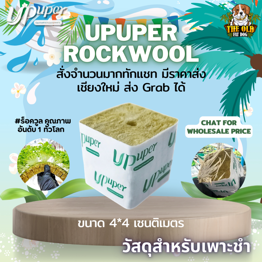 UPUPER ROCKWOOL ร็อควูล ขนาด 4*4 CM วัสดุเพาะชำต้นกัญชา วัสดุใยหินปลูก ...