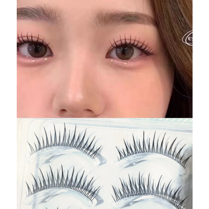 ISABELLA พร้อมส่ง ขนตาปลอมแบบเซท แบบช่อขนตา นิ่ม ขนตาธรรมชาติ ขนตาปลอม ...