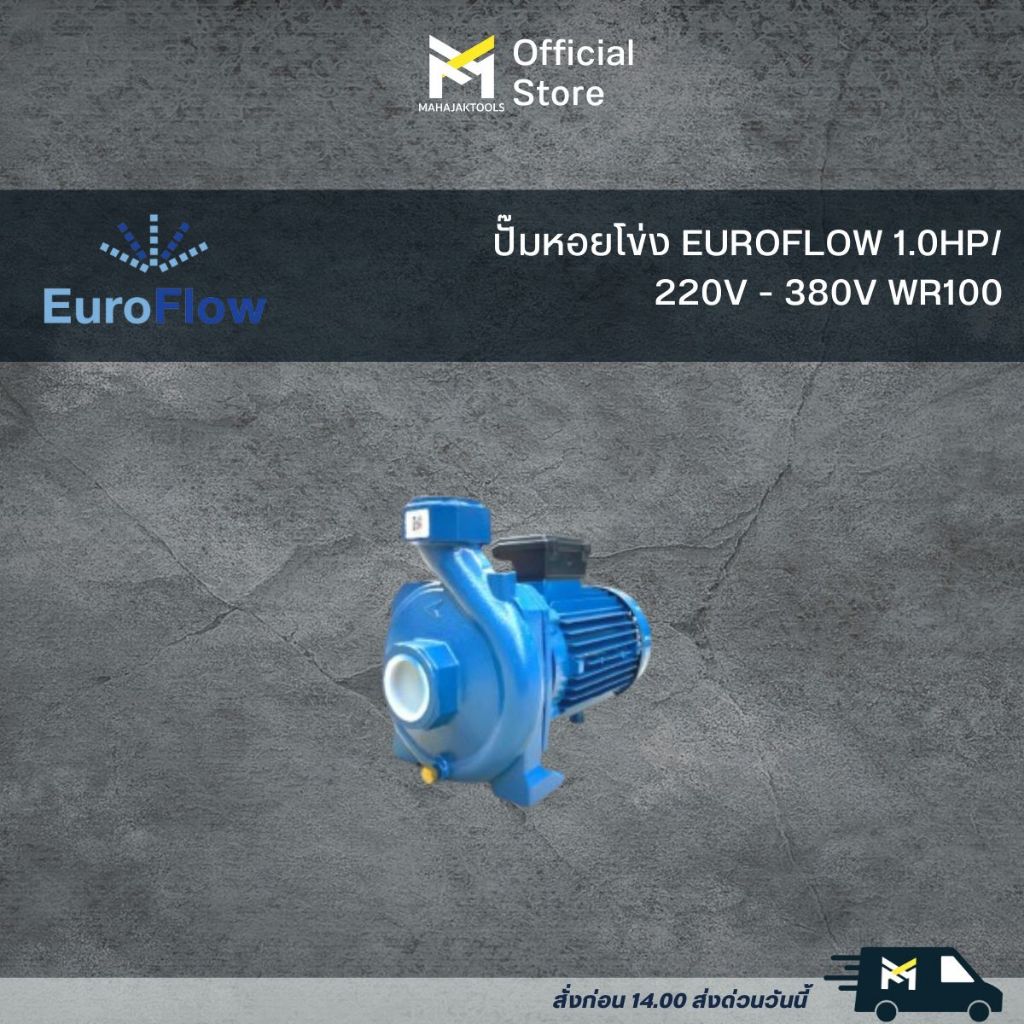 ปั๊มหอยโข่ง EUROFLOW 1.0HP/220V - 380V WR100 | Shopee Thailand