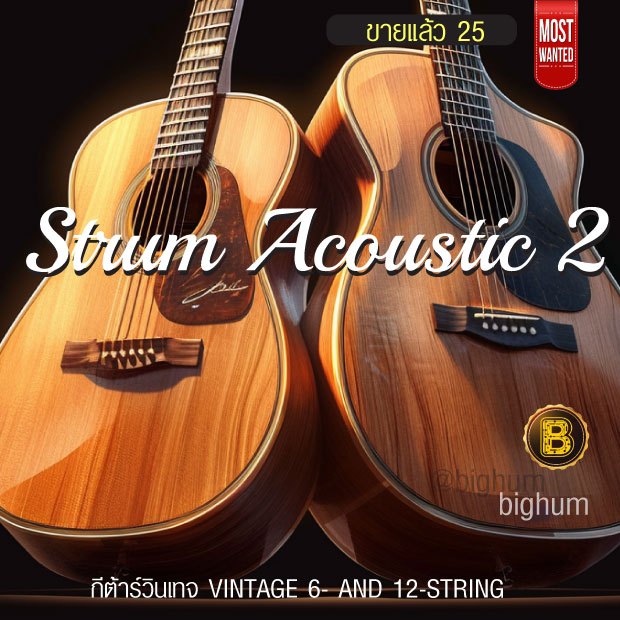 STRUMMED Acoustic 2 | KONTAKT Library | VST Software | windows / Mac ...