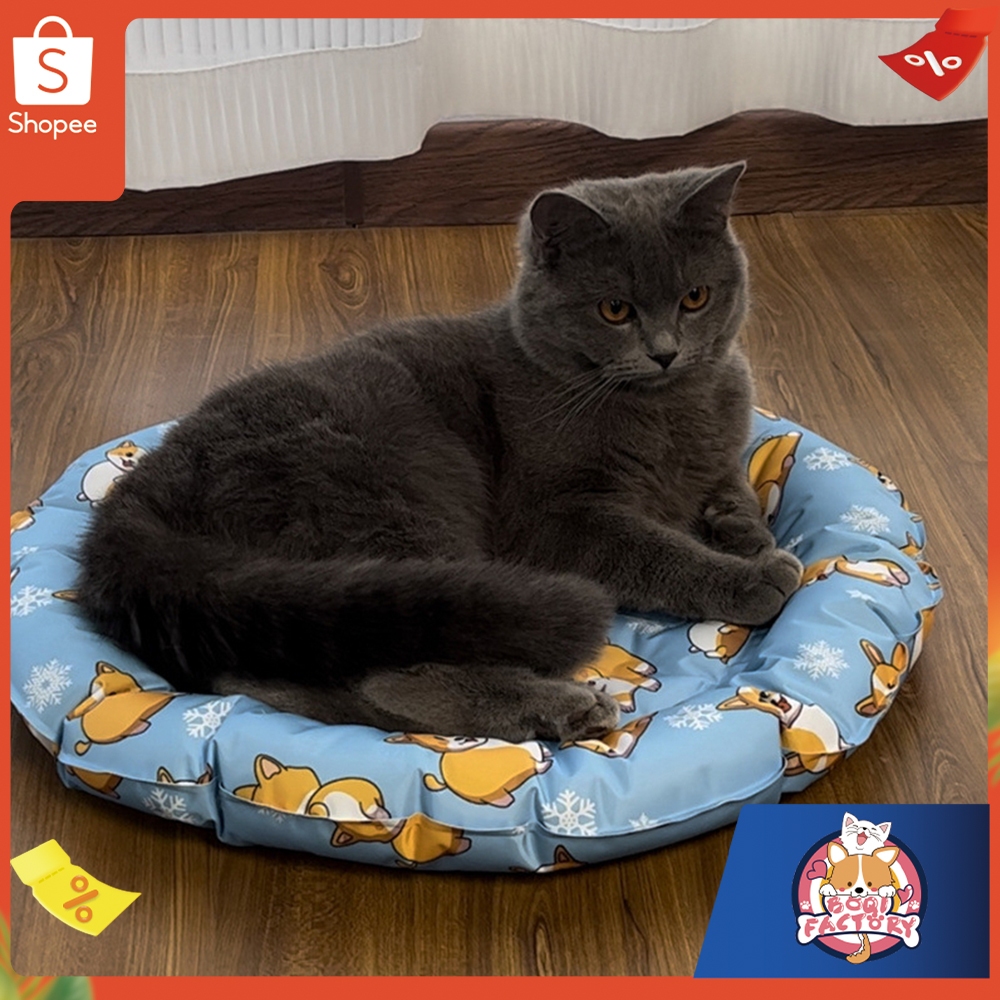 Boqi Factory แผ่นเจลเย็น เบาะนอนเย็น ที่นอนเจลเย็น แผ่นทำความเย็น ที่นอนสัตว์เลี้ยง หมา แมว ...