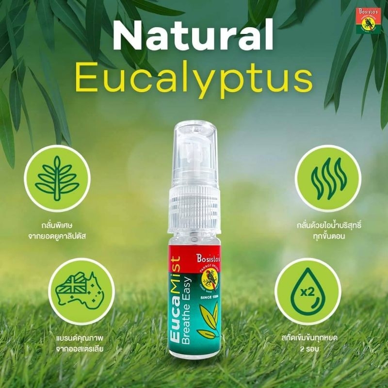 🛡️ยูคามิสต์ สเปรย์น้ำมันยูคาลิปตัส โบสิสโต ตรานกแก้ว (Bosisto’s Euca ...