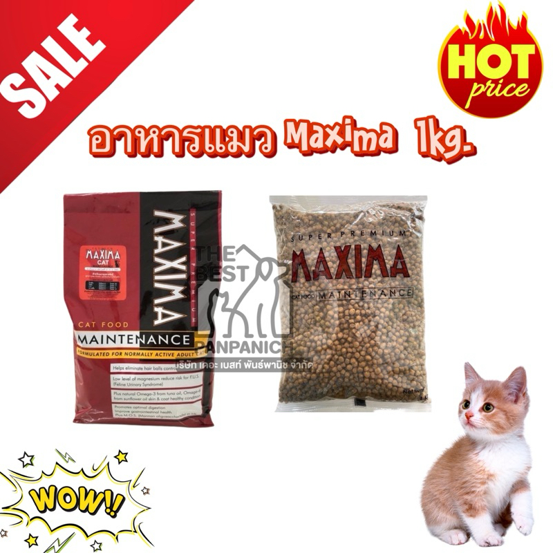MAXIMA cat 1 KG แม็กซิม่า อาหารแมว 1 กก. | Shopee Thailand