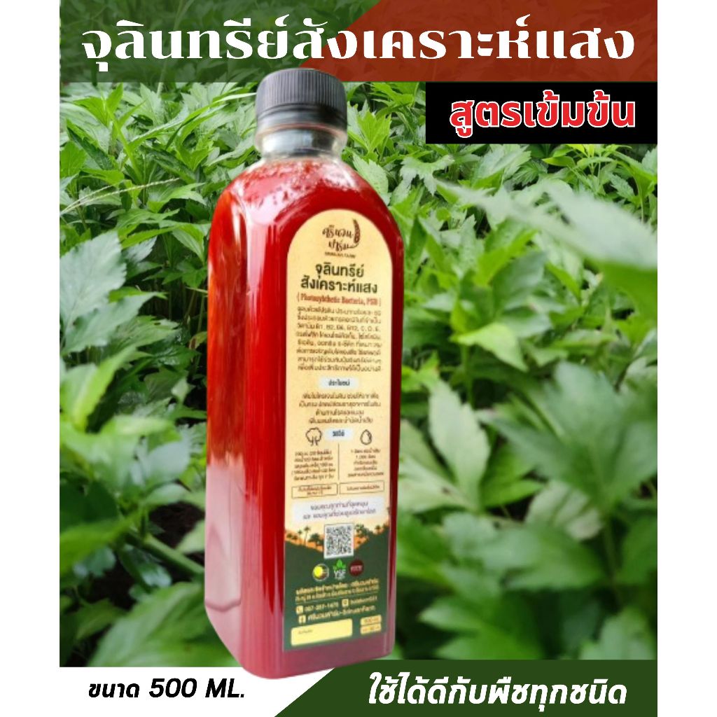 จุลินทรีย์สังเคราะห์แสง PSB 500 ml. คุณภาพสูง สูตรเข้มข้น หัวเชื้อแท้ 100% เร่งราก ดอก ผล ดก ...