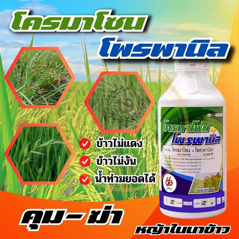 โคลมาโซน (clomazone) 12% + โพรพานิล (propanil) 27% W/V EC ข้าวไม่แดง ...