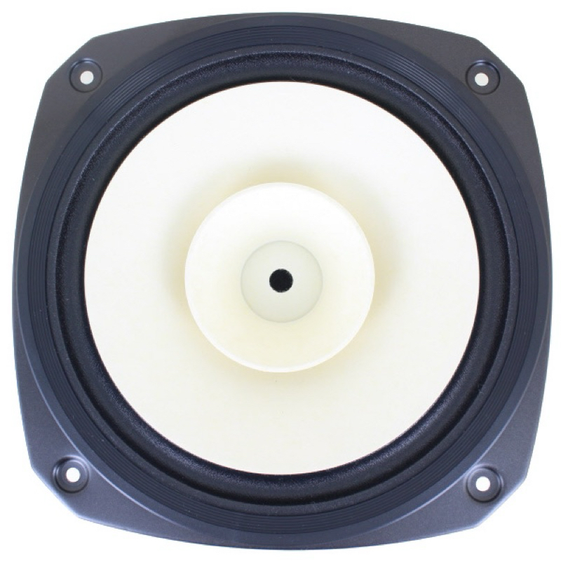 Fostex FE206NV 8" Full Range | Shopee Thailand