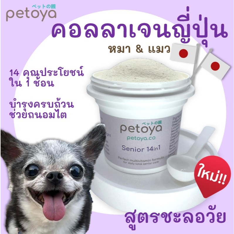 Petoya คอลลาเจนญี่ปุ่น สูตรชะลอวัย บำรุงครบถ้วน สำหรับสุนัขและแมวอายุ 5 ปีขึ้นไป | Shopee Thailand