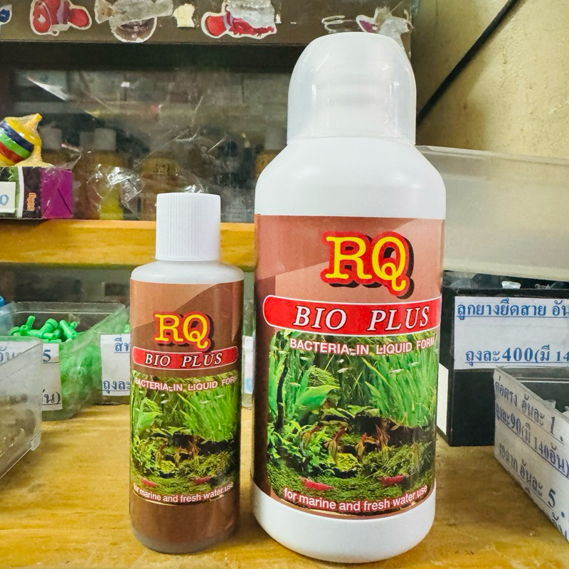 RQ BIO PLUS แบคทีเรียย่อยสลายของเสีย ในตู้ปลา บ่อปลา | Shopee Thailand