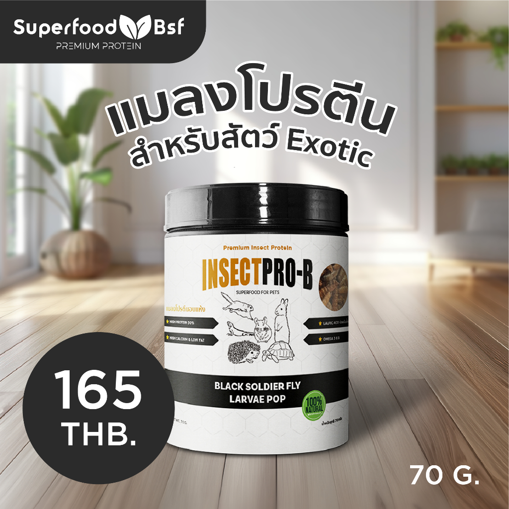 แมลงโปรตีน สำหรับสัตว์เลี้ยงExotic Insectpro-B Superfoodbsfโปรตีน50% | Shopee Thailand