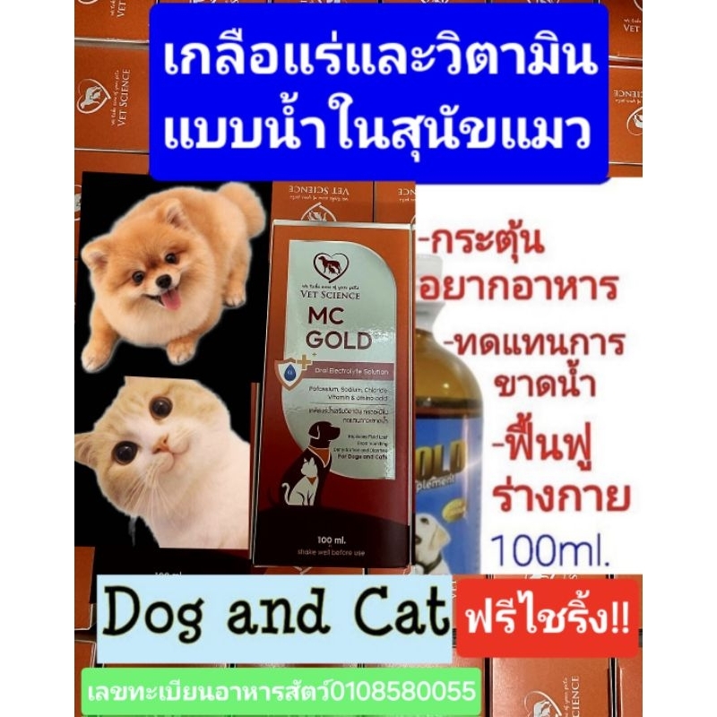 เกลือแร่และวิตามินแบบน้ำสำหรับแมวและสุนัข100ml.Mc Goldฟื้นฟูบำรุงสัตว์ป่วย | Shopee Thailand
