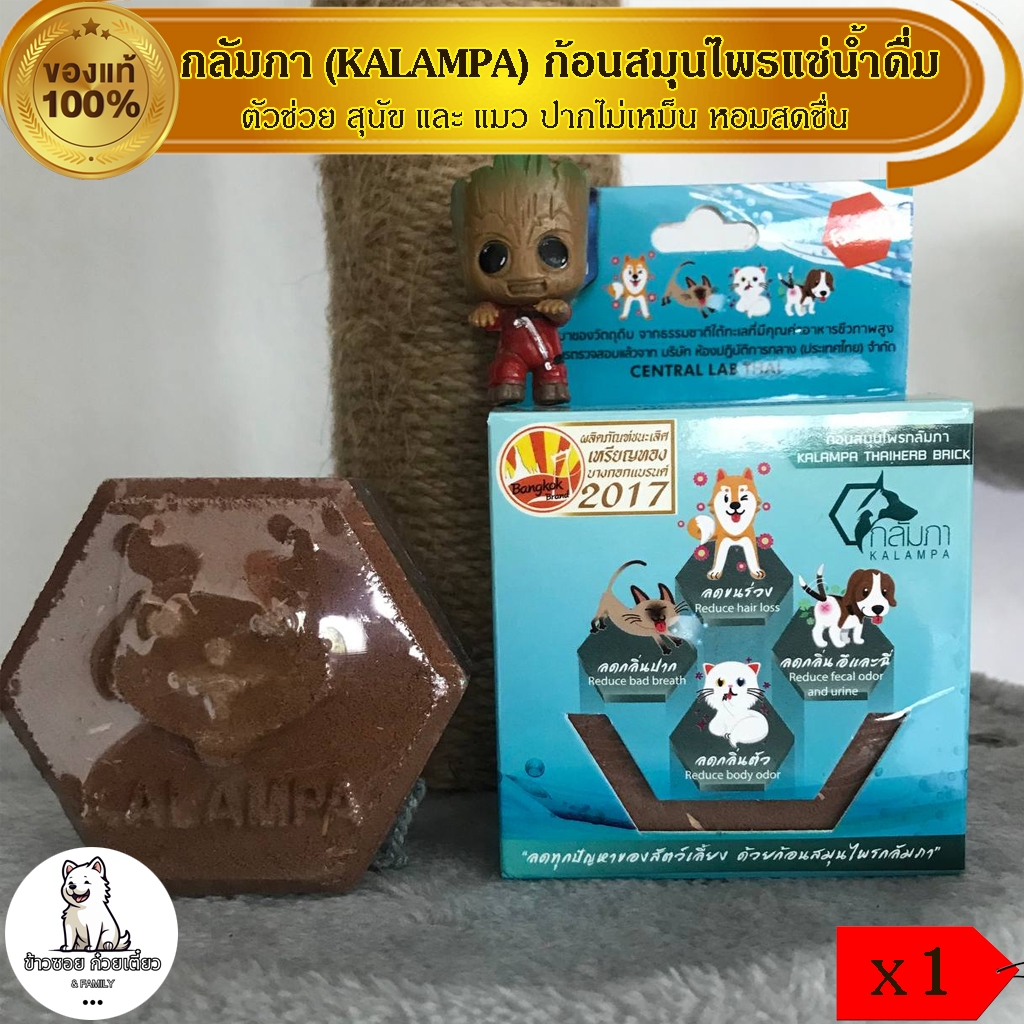 กลัมภา (KALAMPA) ก้อนสมุนไพรแช่น้ำดื่มสำหรับสุนัข และ แมว | Shopee Thailand