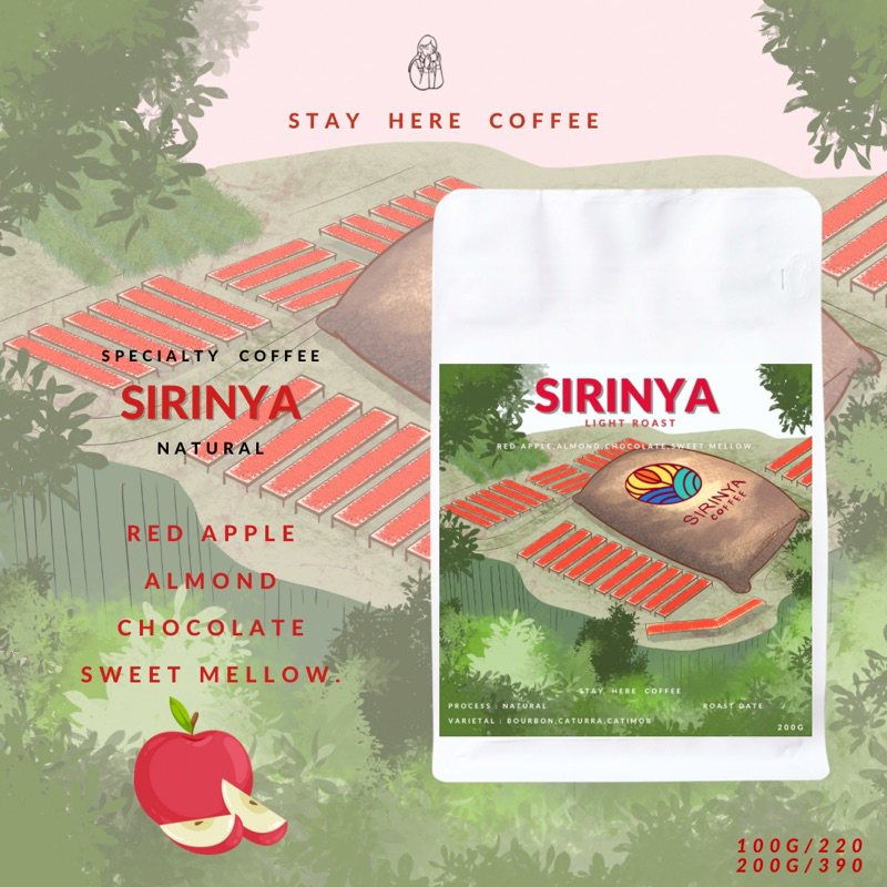 เมล็ดกาแฟคั่วอ่อน SIRINYA | Shopee Thailand