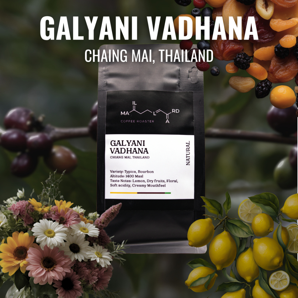 Maillard Coffee Roaster เมล็ดกาแฟคั่ว กัลยาณิวัฒนา Galyani Vadhana ...