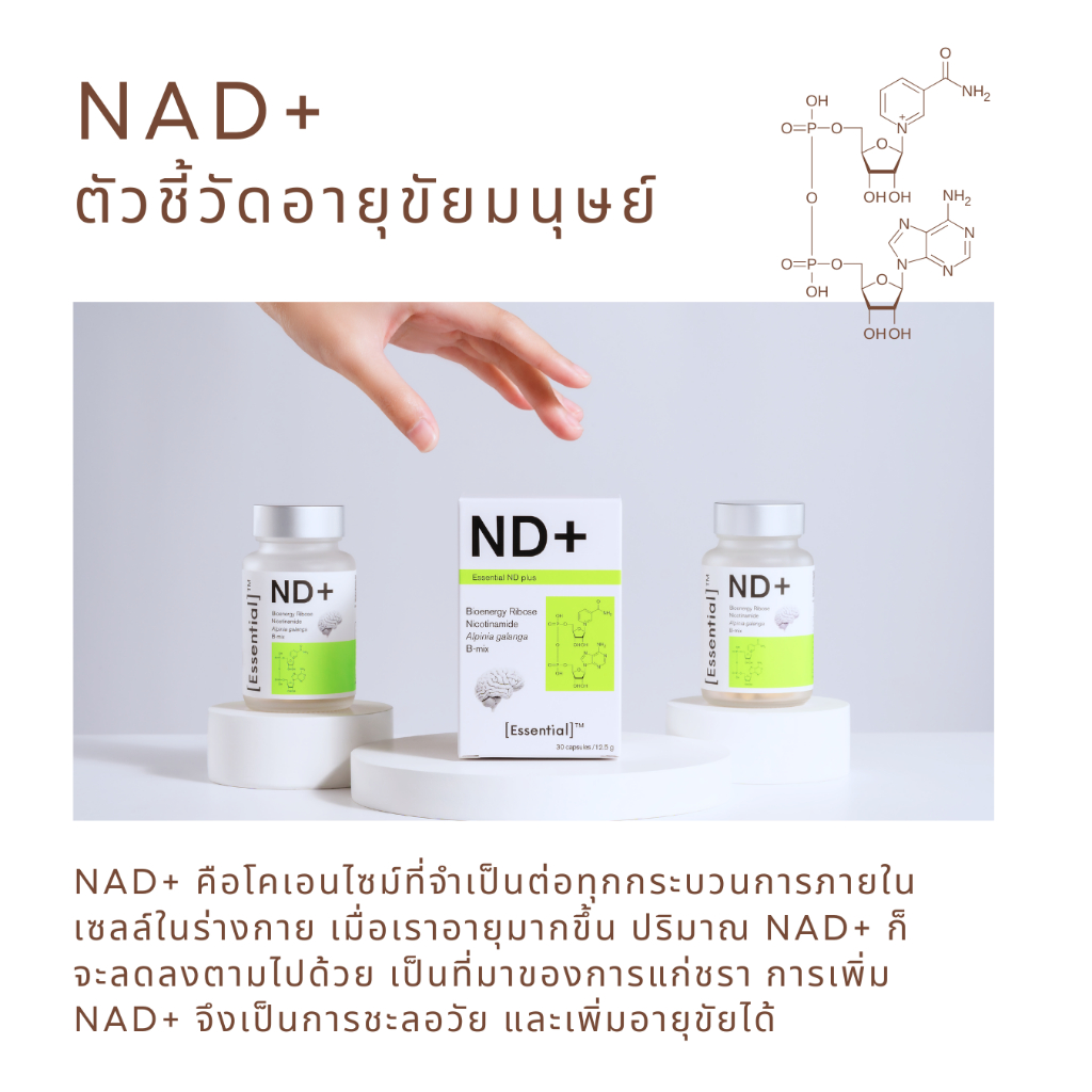 [แพคคู่]Essential NAD+ อาหารเสริมเพื่อสุขภาพ ชะลอวัย หลับลึก เพิ่มพลัง ...