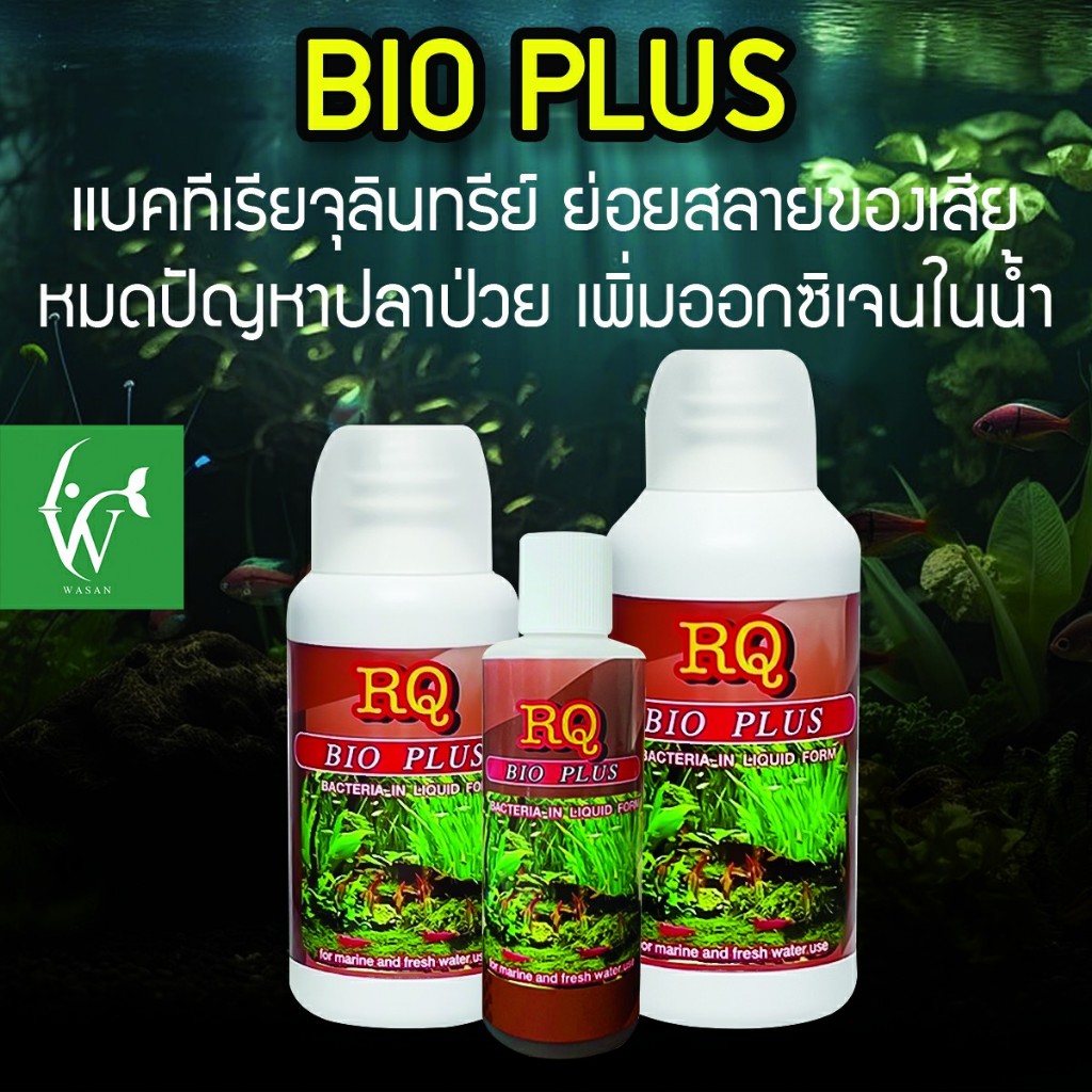 RQ BIO PLUS แบคทีเรียย่อยสลายของเสีย เศษอาหารตกค้าง ทำให้น้ำใสสะอาด | Shopee Thailand