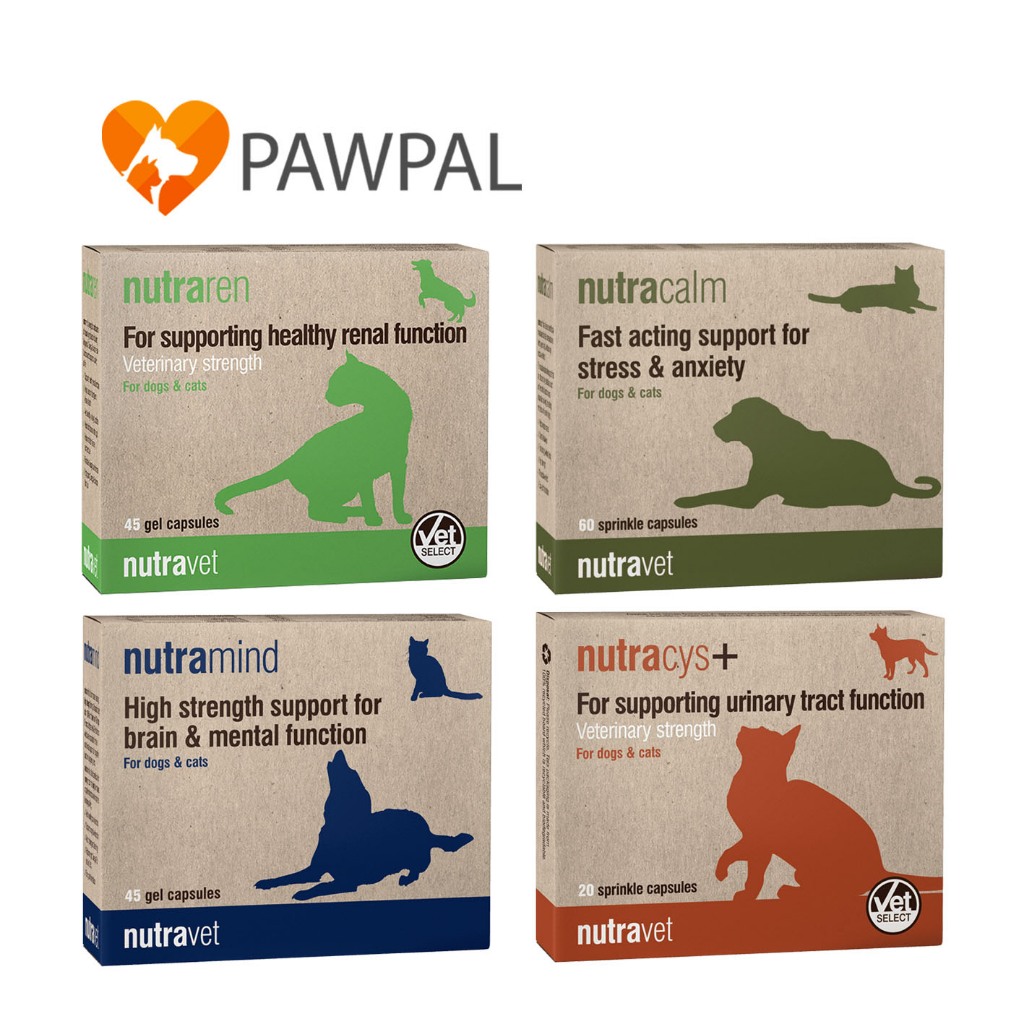 Nutravet Nutramind Nutraren Nutracalm Nutracys + อาหารเสริม บำรุง สุนัข ...