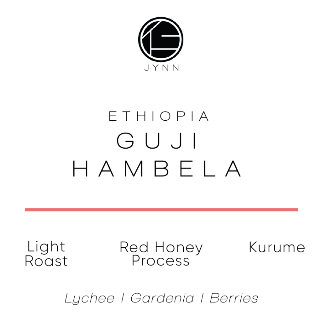 JYNN coffee roasters เมล็ดกาแฟ Ethiopia Guji Hambela - 100g | Shopee Thailand
