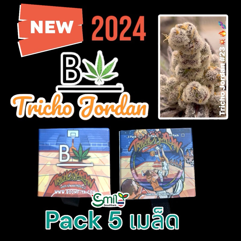 เมล็ดกัญชา Tricho Jordan (Fem) - Beleaf Seeds เดือดสุดพันธุ์นี้ ...