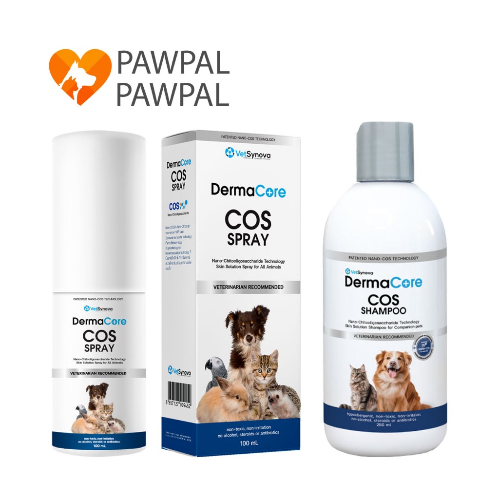 DermaCore COS Spray 20 ml 100 ml Shampoo 250 ml สเปรย์พ่นเชื้อรายีสต์ ...