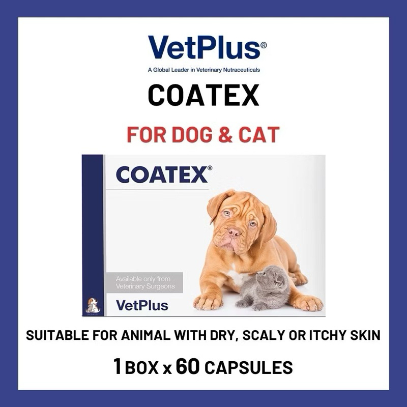COATEX CAPSULE 60 CAPSULE (100% ORIGINAL) supplement hair & skin dogs ...