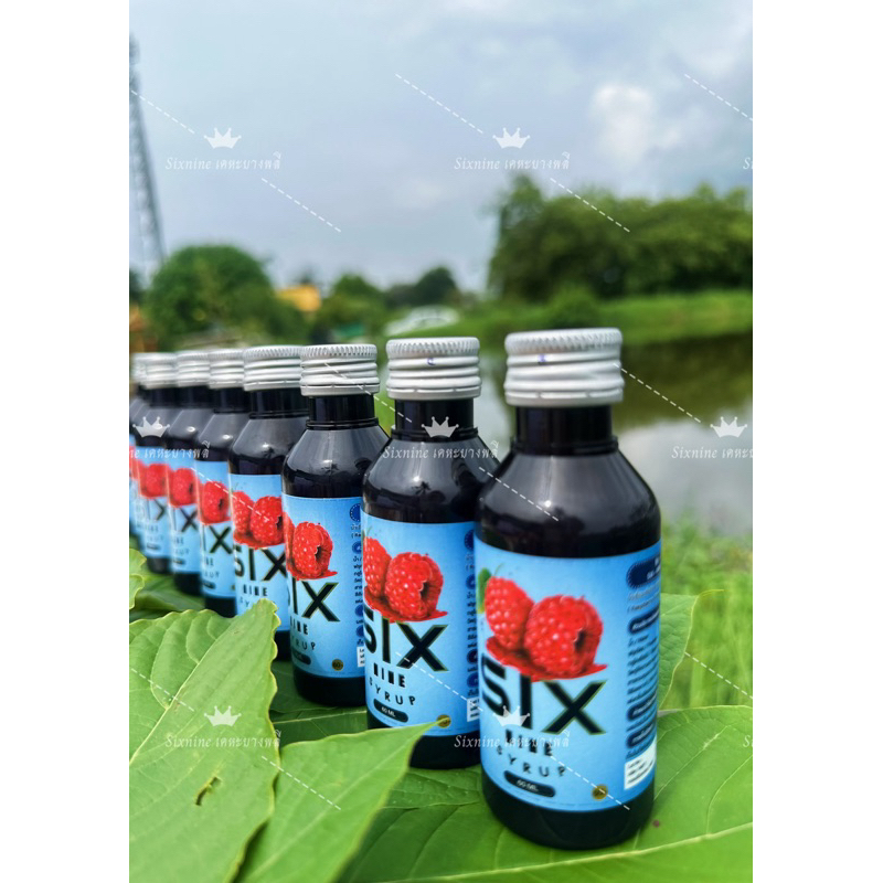 Six-nine Syrup น้ำหวานเข้มข้น | Shopee Thailand