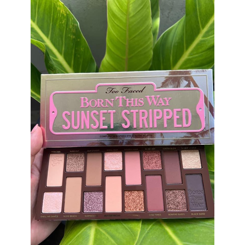 #พร้อมส่ง Too Faced Born This Way Sunset Stripped Complexion-Inspired ...