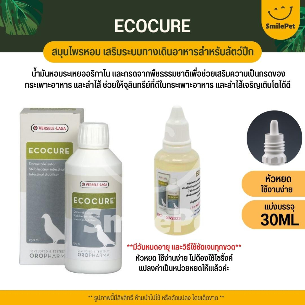 ECOCURE เสริมสร้างระบบทางเดินอาหาร ช่วยให้นกดูดซึมสารอาหารได้ดีและขับถ่ายดี (แบ่ง 30ML) | Shopee ...