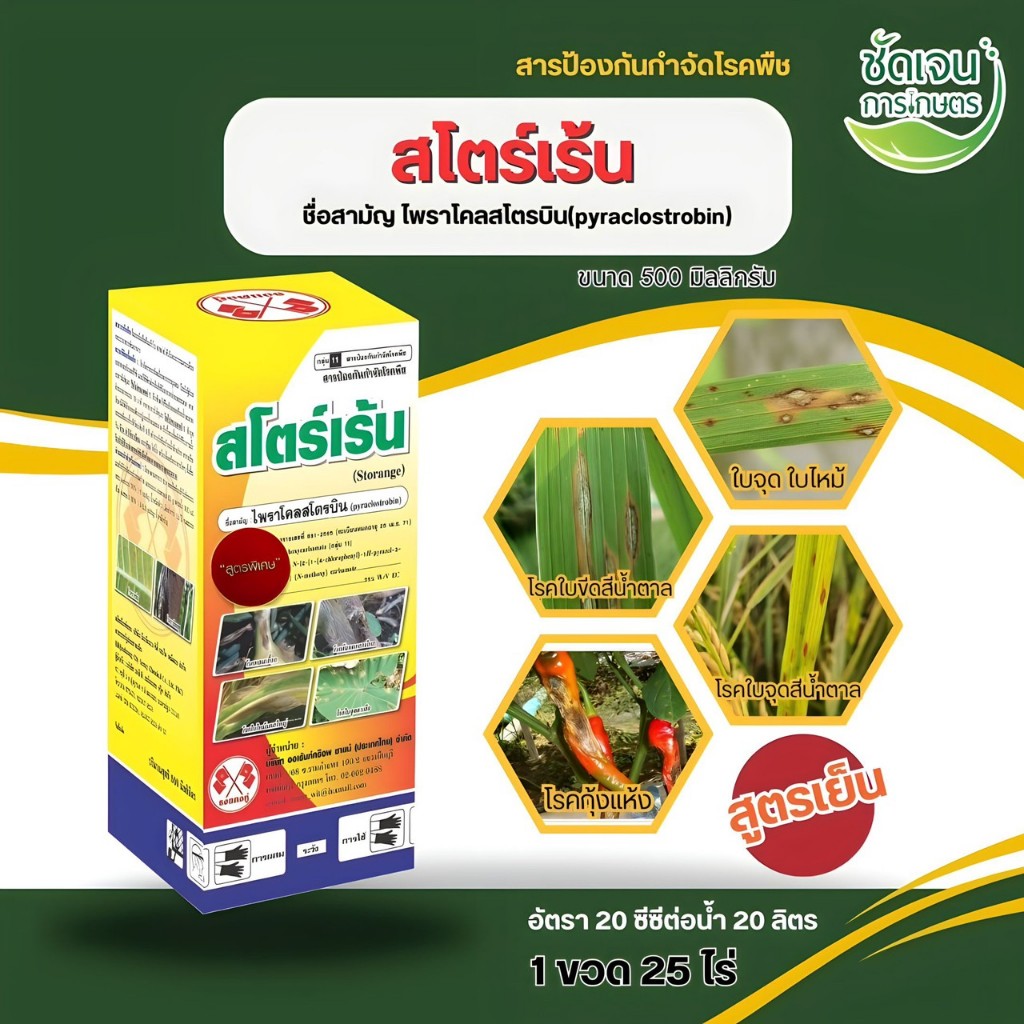สโตร์เร้น 500ml. (สูตรพิเศษ)ชื่อสามัญ ไพราโครสโตรบิน (pyraclostrobin ...