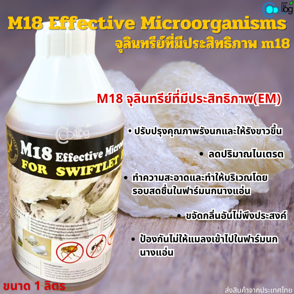Effective Microorganisms M18 จุลินทรีย์ที่มีประสิทธิภาพ ช่วยให้รังนกขาว ...