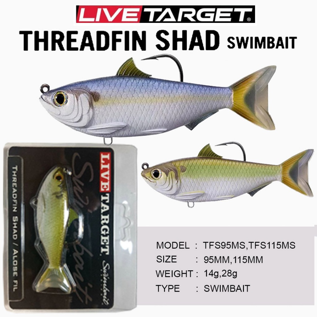 เหยื่อปลอม LIVETARGET THREADFIN SHAD SWIMBAIT | Shopee Thailand