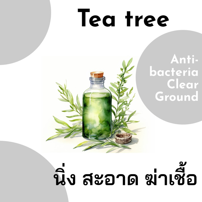 essential oil (minty)eucalyptus, tea tree, peppermint, wintergreen ...