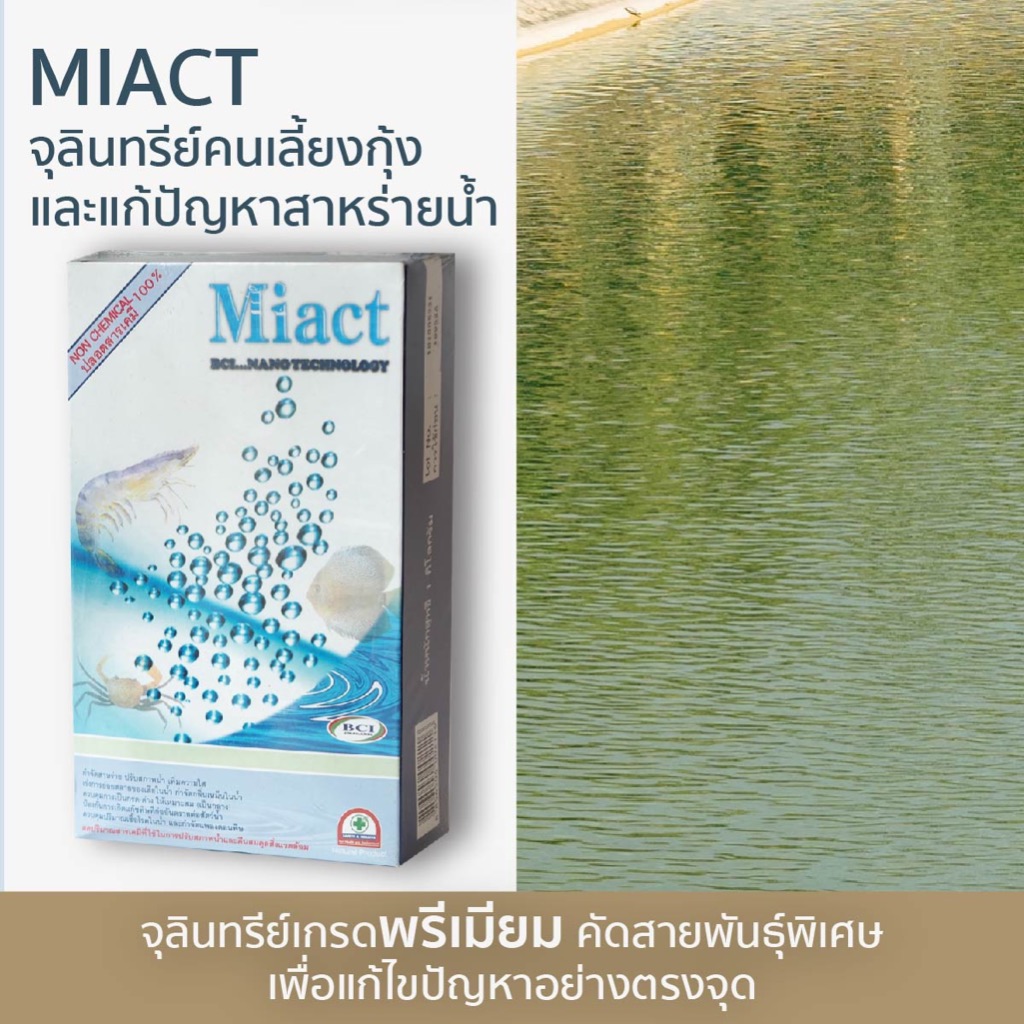Miact จุลินทรีย์คัดสายพันธุ์สำหรับกำจัดสาหร่ายและปรับสภาพน้ำในบ่อเลี้ยง ...