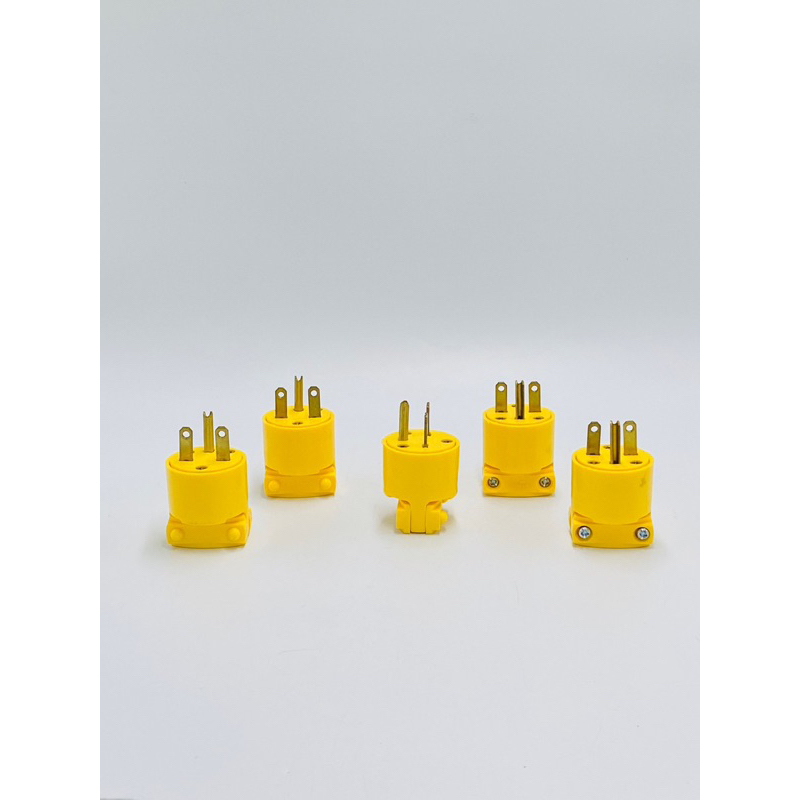 ปลั๊ก COOPER 4866 NEMA 6-15 สำหรับไฟ 220-250V | Shopee Thailand