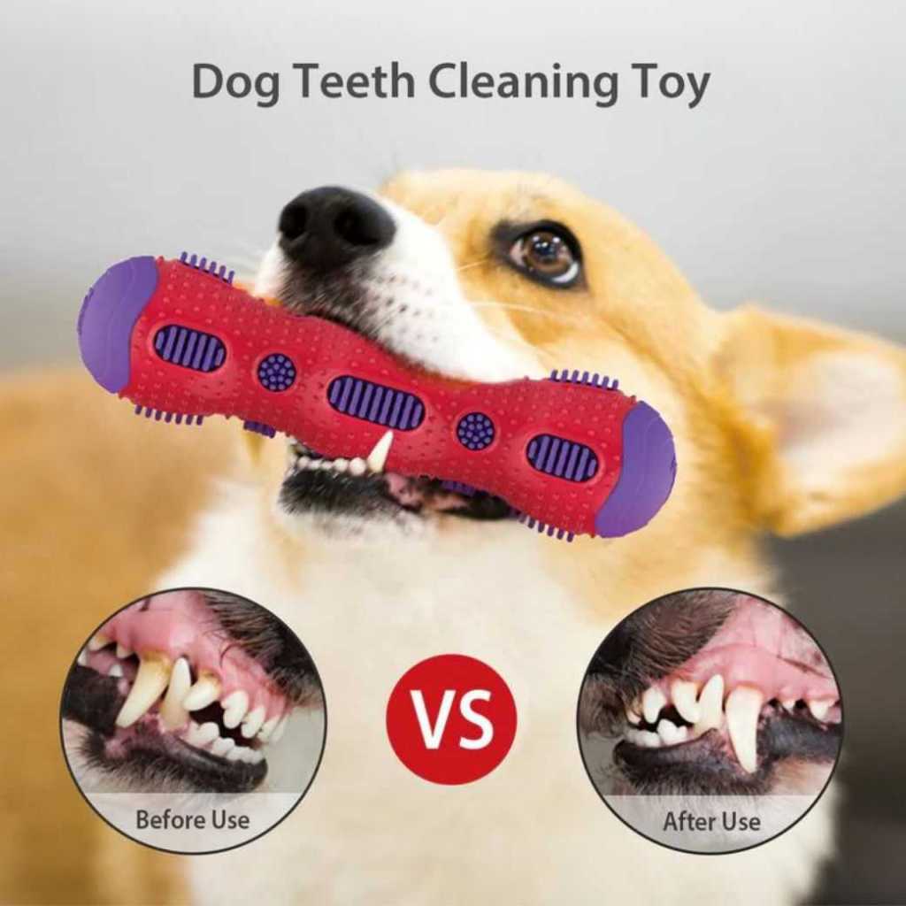 GiGwi Toothbrush Stick Rubber ยางขัดฟัน กัดแล้วมีเสียง ของเล่นสุนัข ยาง ...