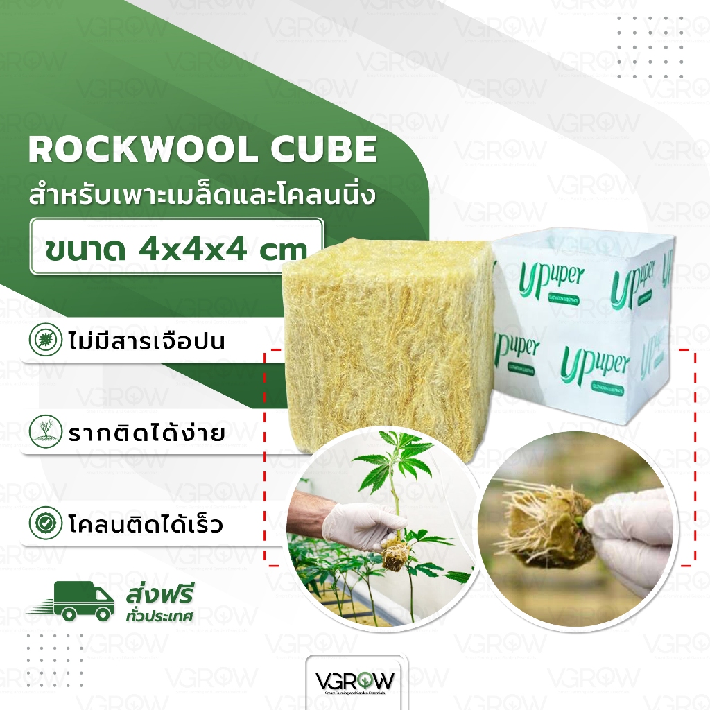 UPuper Rockwool Cubes ร็อควูลก้อน ขนาด4x4cm วัสดุเพาะชำ วัสดุใยหินปลูก ...