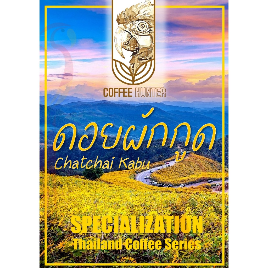 เมล็ดกาแฟ ดอยผักกูด Doi Pak Kod (คั่วกลาง) | Shopee Thailand