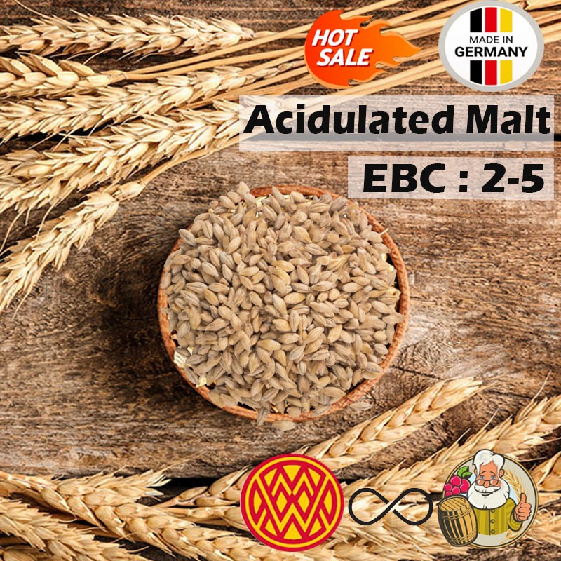 มอลต์ที่เป็นกรด - Acid Malt / Acidulated Malt – Weyermann® | Shopee ...