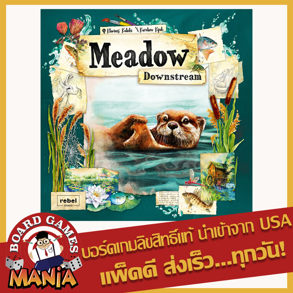 Meadow: Downstream Expansion | Shopee Thailand
