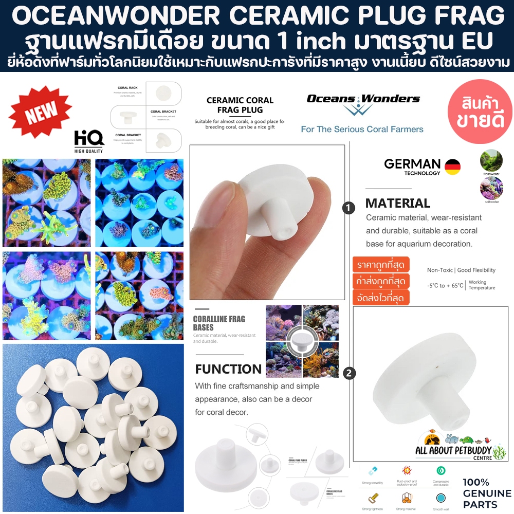 Ocean Wonders Ceramic Plug Frag ฐานแฟรกปะการัง 2.5cm รุ่นมีเดือย พร้อม ...