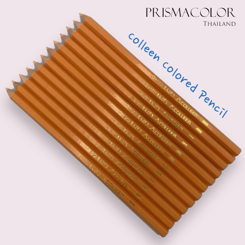 ดินสอสีไม้ Colleen สีครีม รหัส 408 จำนวน 12 แท่ง | Shopee Thailand