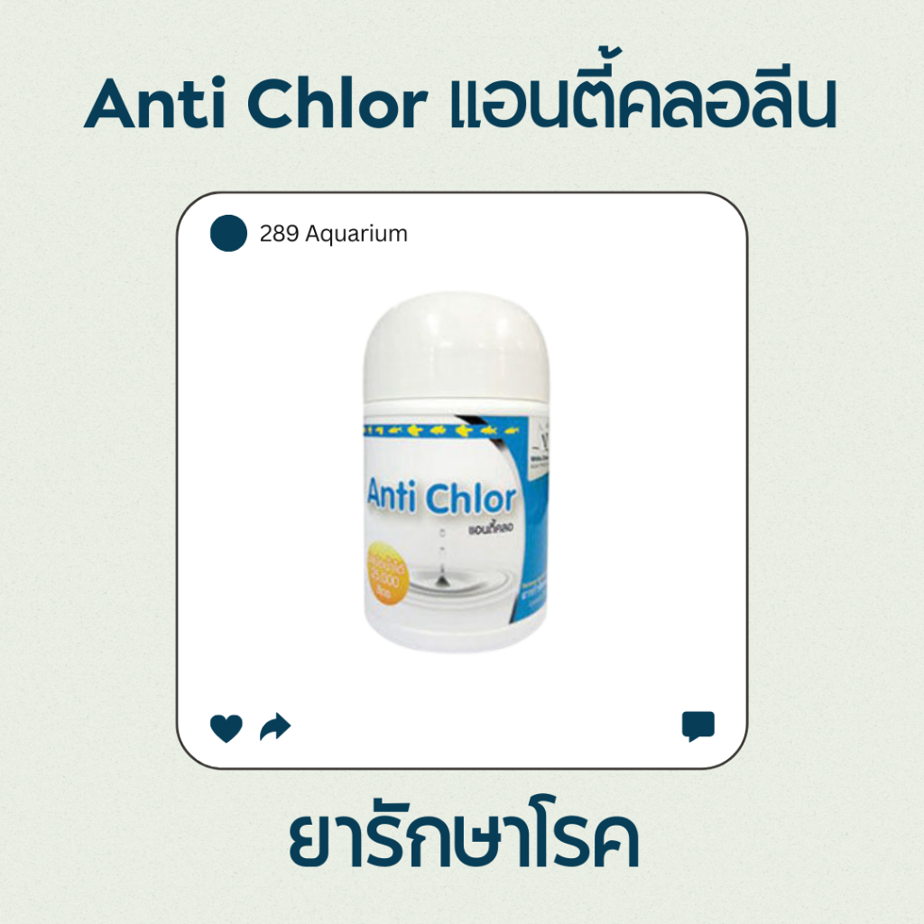 Anti Chlor แอนตี้คลอลีน ผลิตภัณฑ์กำจัดคลอรีนในน้ำประปา ขนาด 50 g. | Shopee Thailand