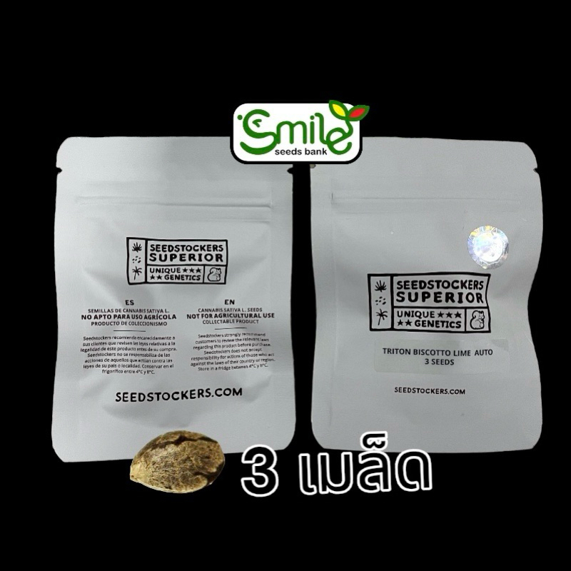 เมล็ดกัญชา Triton Biscotti Lime (Auto) Winner Cup* - Seed Stockers ...