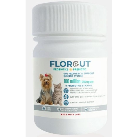FLORGUTสำหรับแมวหรือสุนัขพันธุ์เล็ก อาหารเสริมพรีไบโอติกและโพรไบโอติก ...