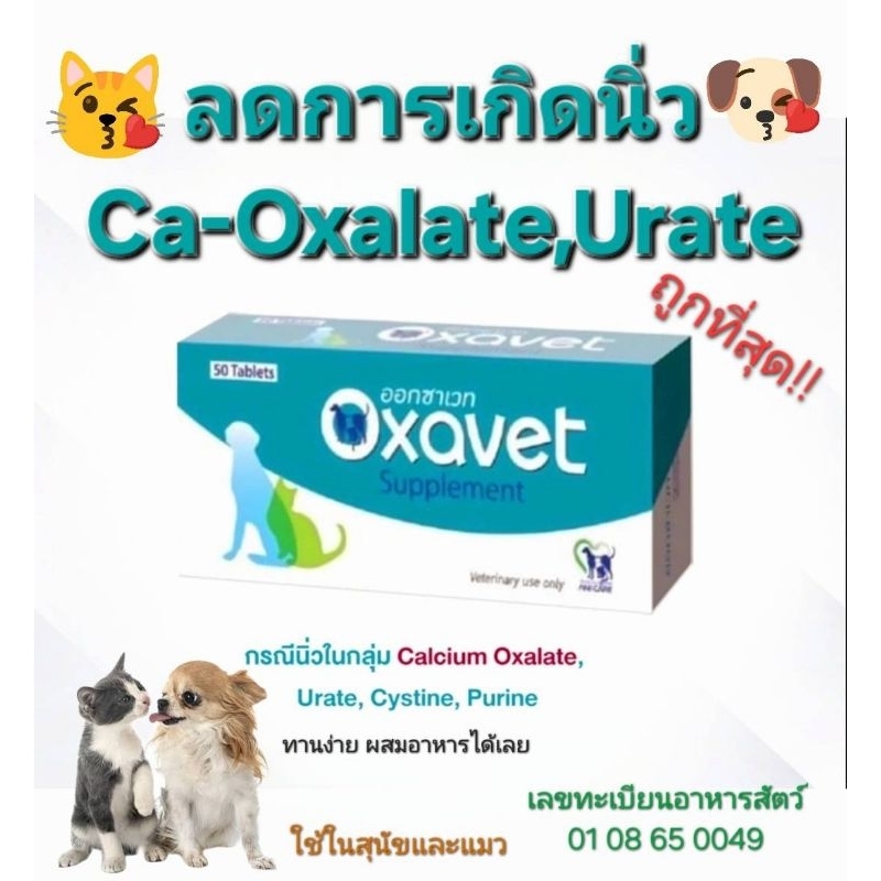 Oxavet ออกซาเวท อาหารเสริมลดการเกิด-สลายนิ่ว Oxalate, Urate ในสุนัขและ ...