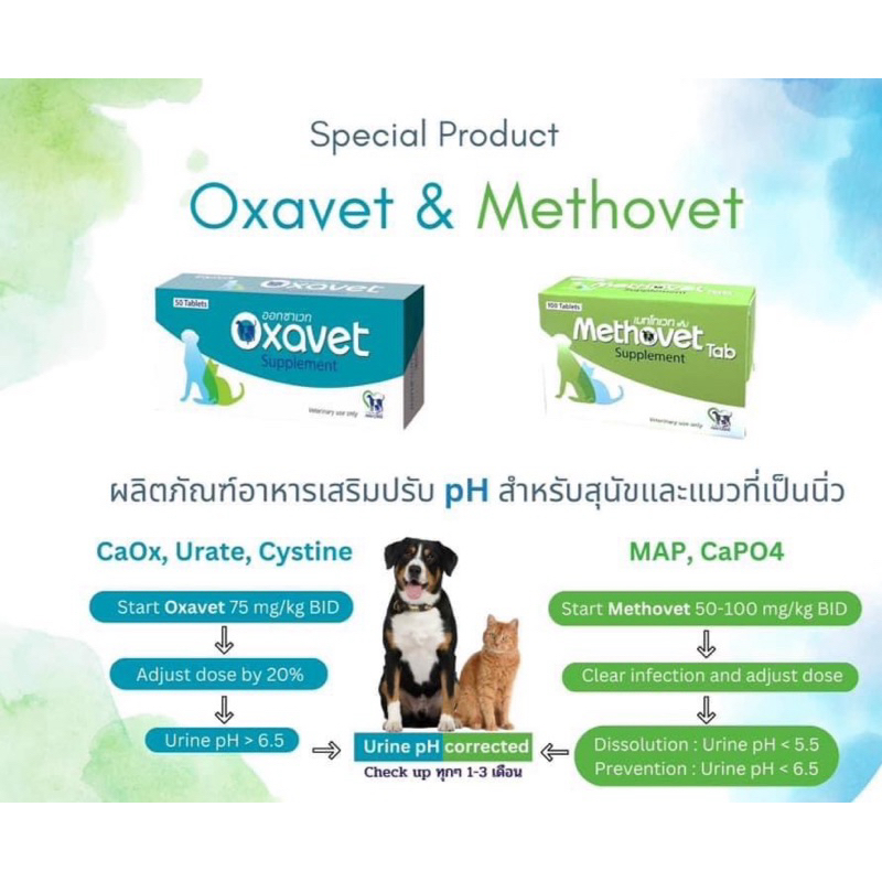 Methovet & Oxavet [แท้💯]ลดการเกิด-สลายนิ่วในสุนัขและแมว ปรับค่า pH ของ ...