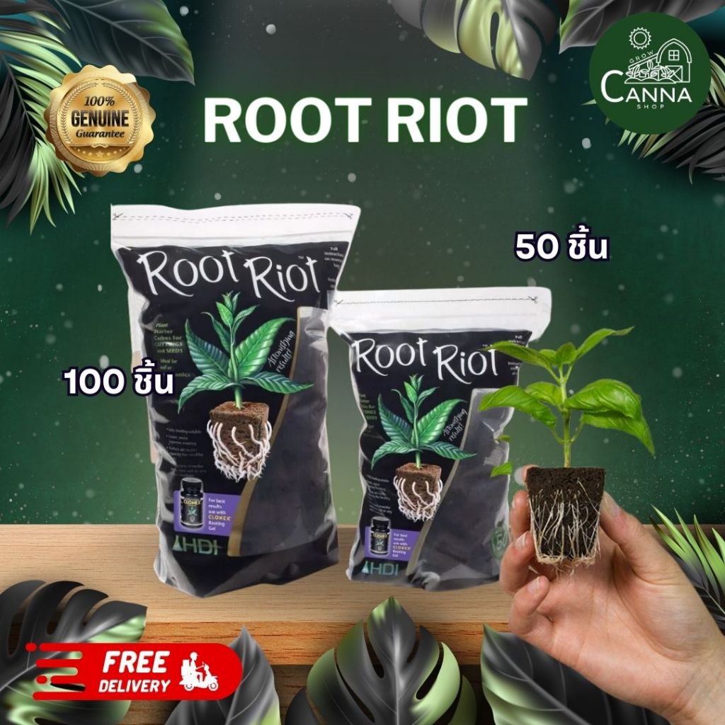 Root Riot ถุง original package สำหรับ ปักชำ เพาะเมล็ดนำเข้าจาก USA ...